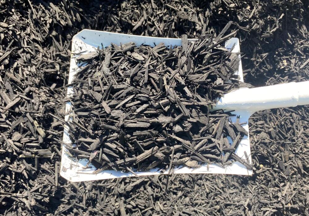 Midnight black mulch - Danly