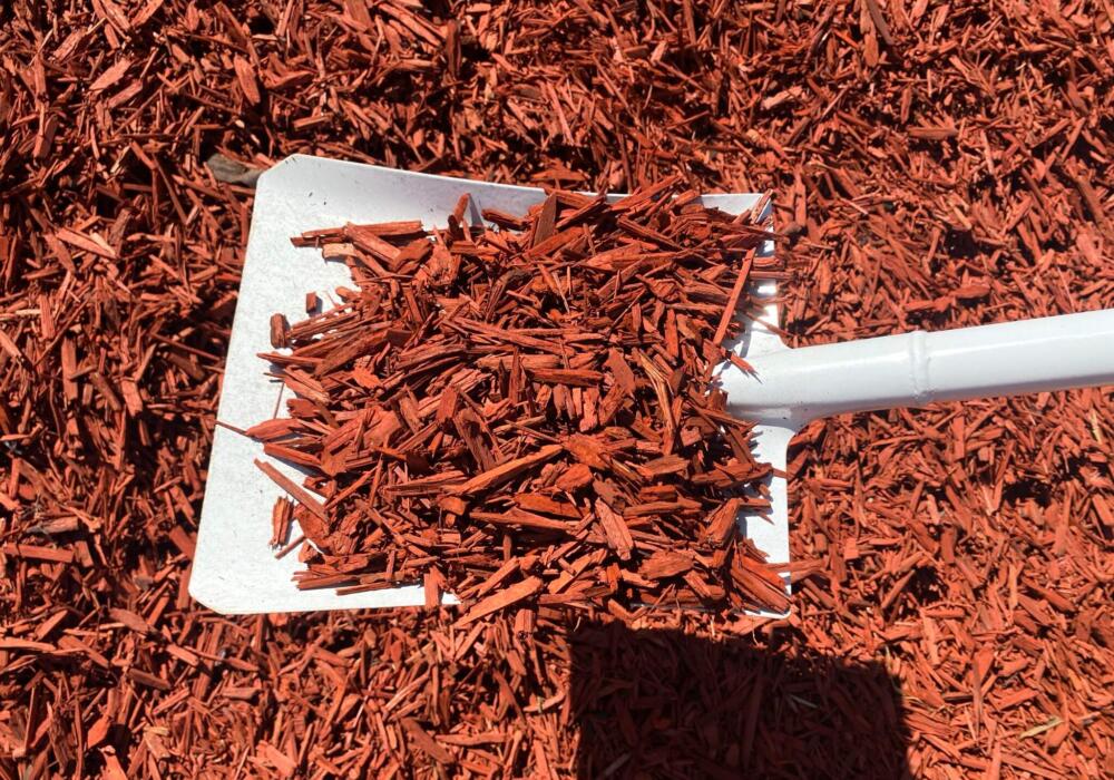 Sunset red pine mulch - Danly